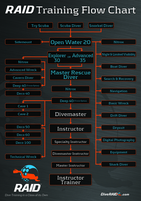 The Dive Shop On McEver -SCUBA Swim Travel Equipment Service